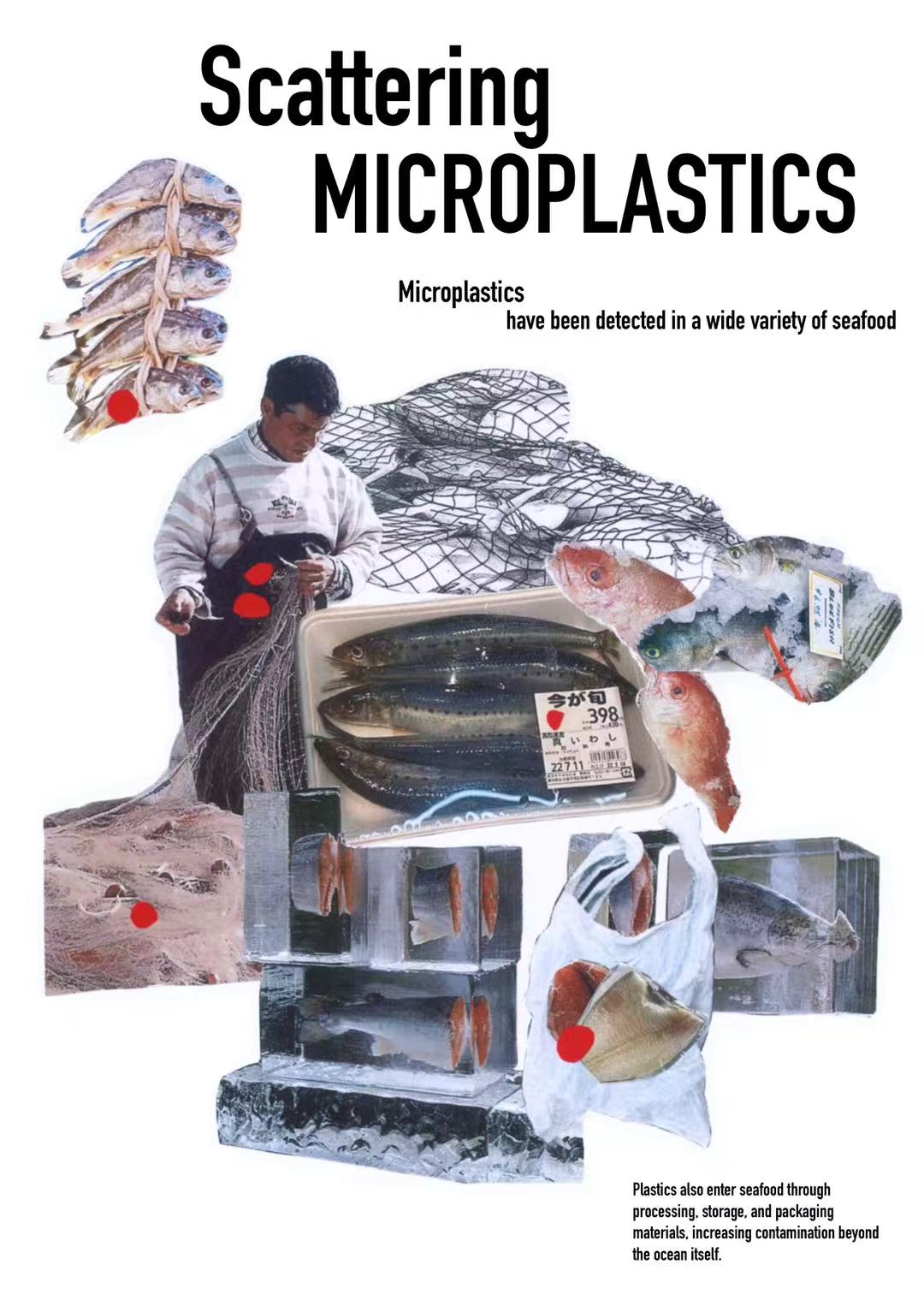 Student Ad - Ingesting Plastic: How Ocean Pollution Ends Up Inside Us